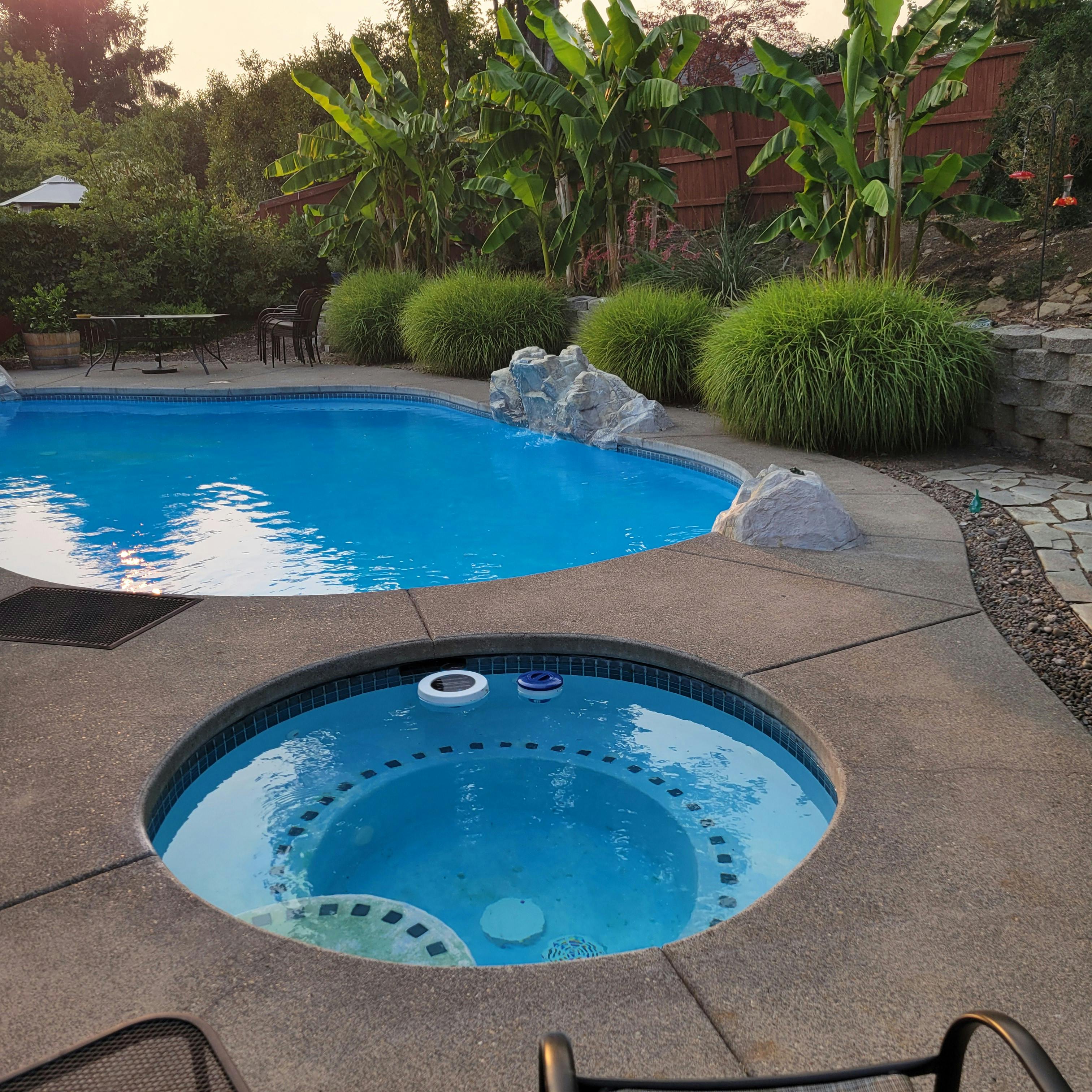 Relaxing Tropical Look And Feel - Private Pool in Medford - Swimply